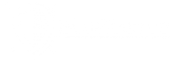 Cybersecurity Itu Apa Sih? – BlueTeam.id